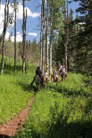 Horseback Riding near Rico, Dolores, Telluride Colorado | Circle K